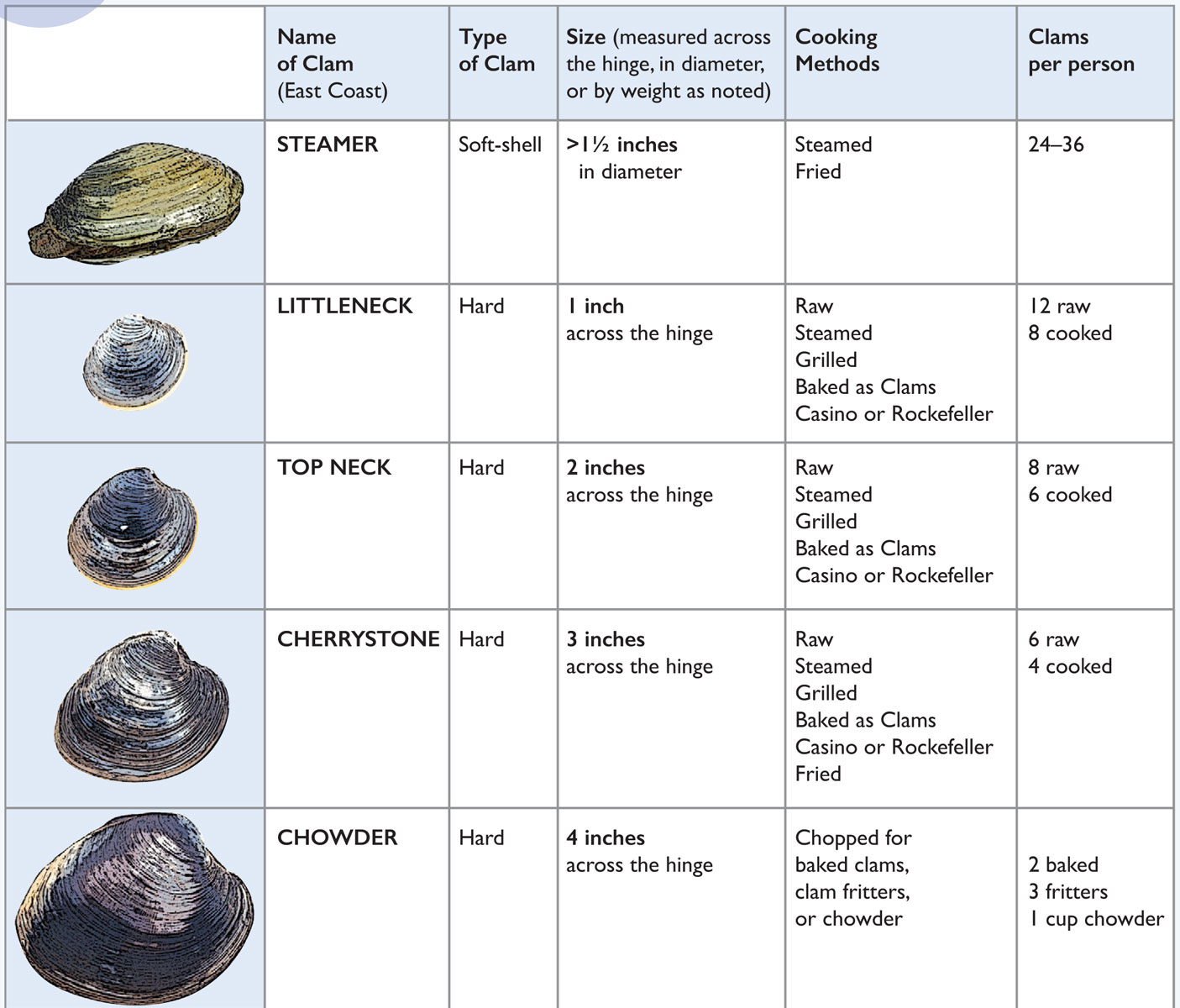 Clams 101: A How-To Guide