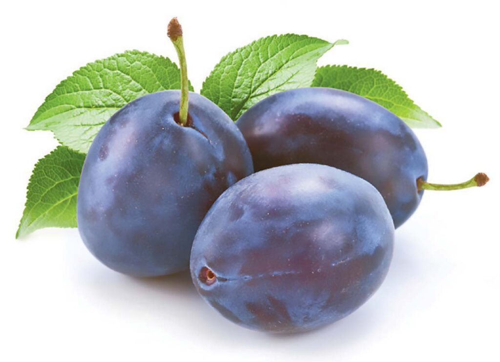 The Health Benefits of Plums