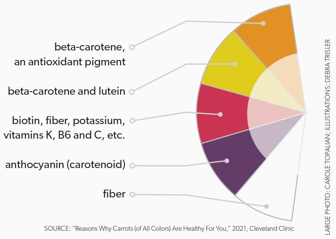 What's in Season in New Jersey in Winter - Carrots