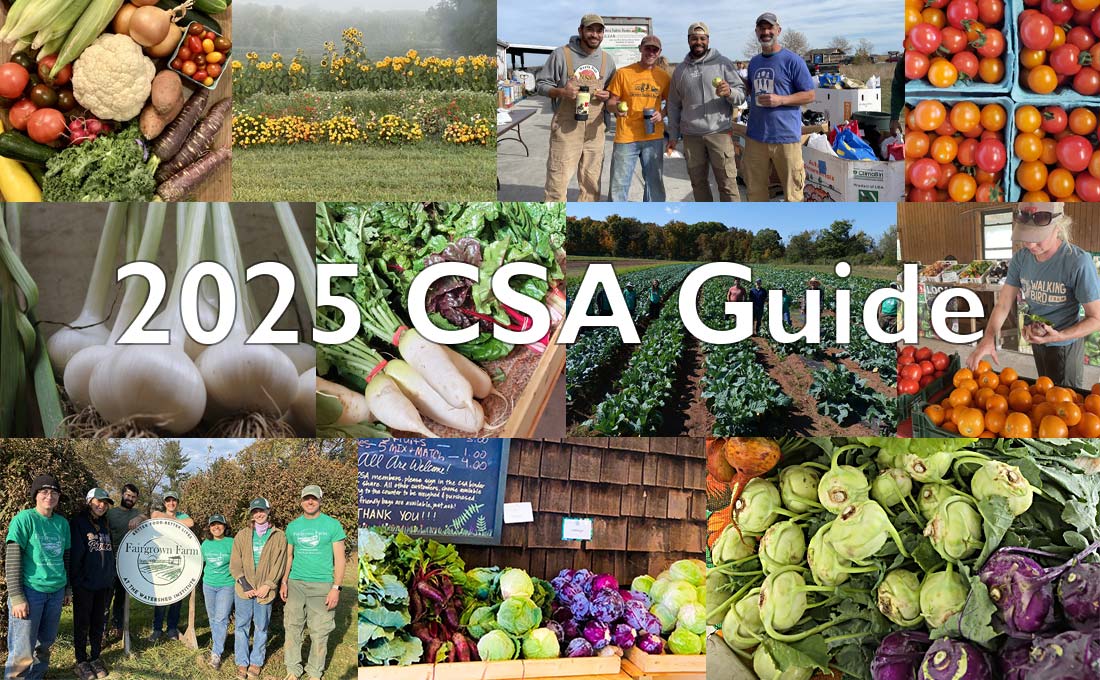 Edible Jersey CSA Guide